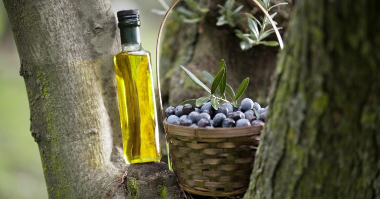 The Culinary Journey: Exploring the Origins and Fascinating History of ...